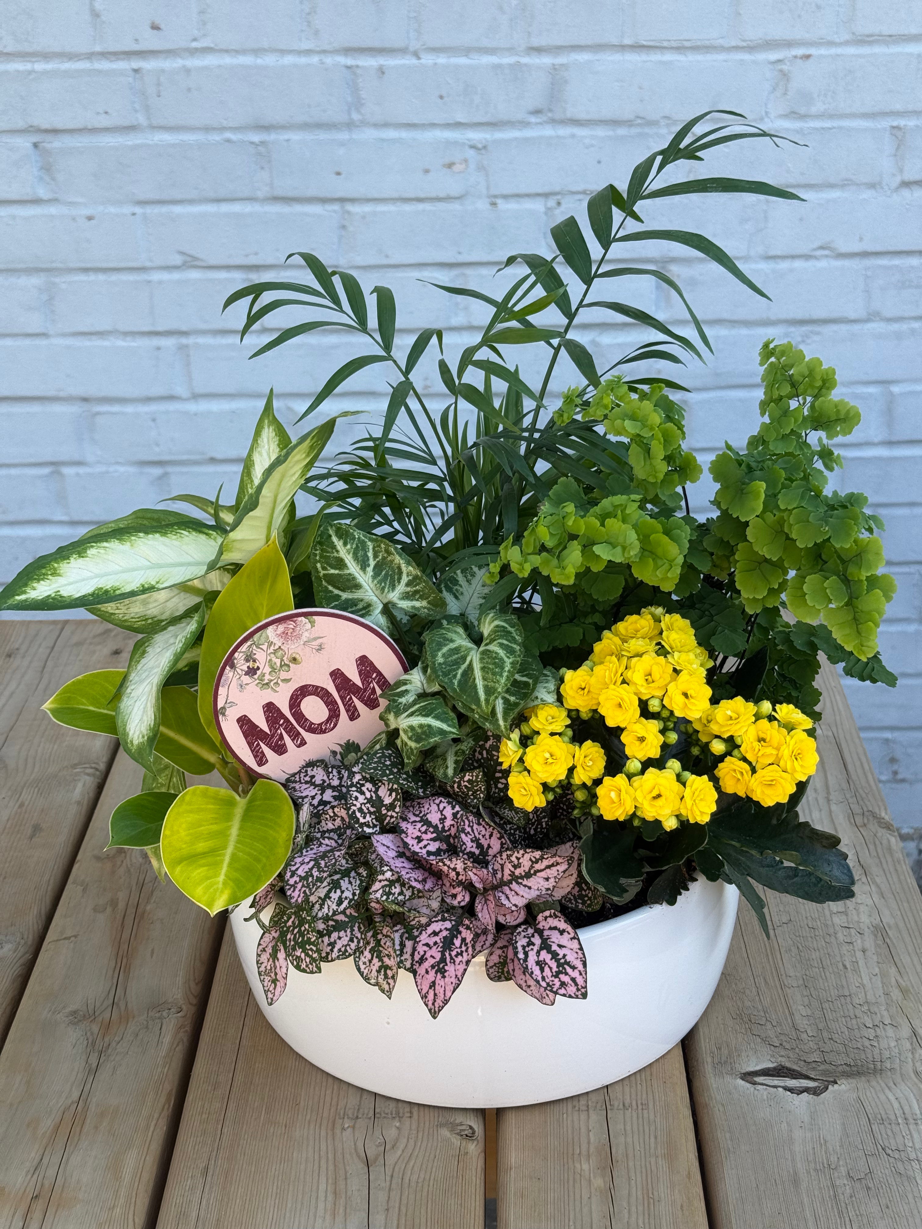 Flourish + Bloom Plant Arrangements – TwinFlower Studio