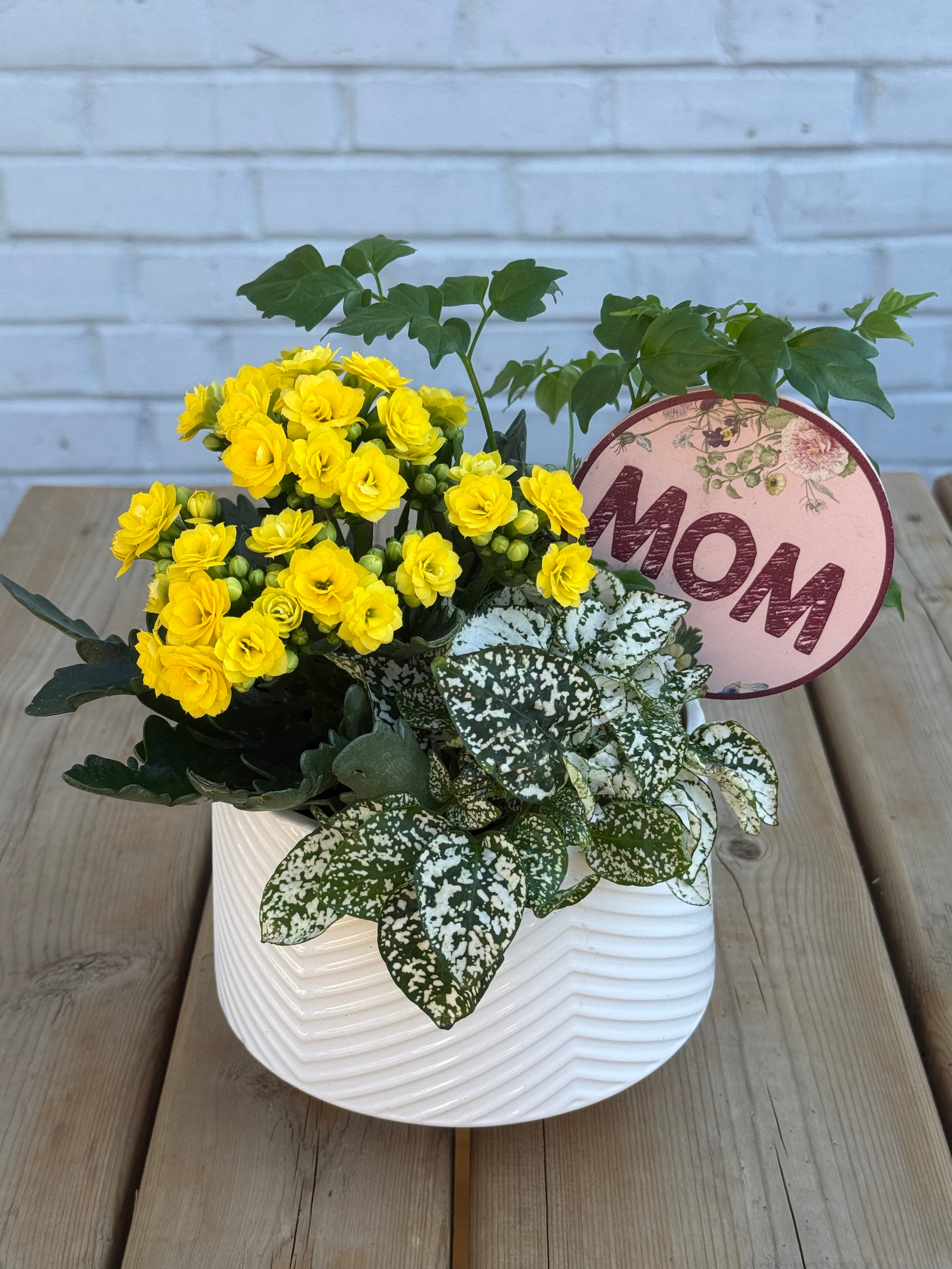 Flourish + Bloom Plant Arrangements – TwinFlower Studio